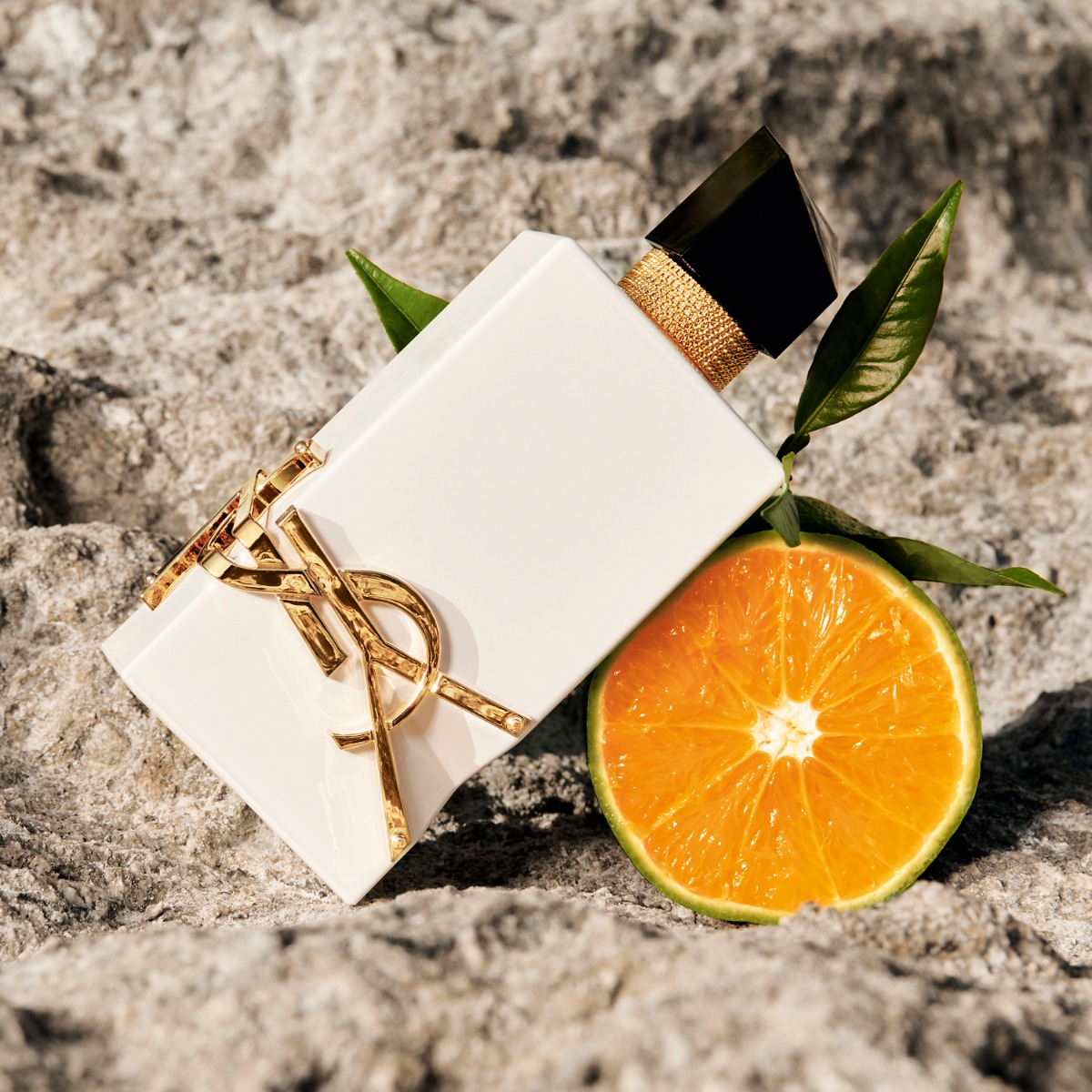 Home - EBC Cosmetics